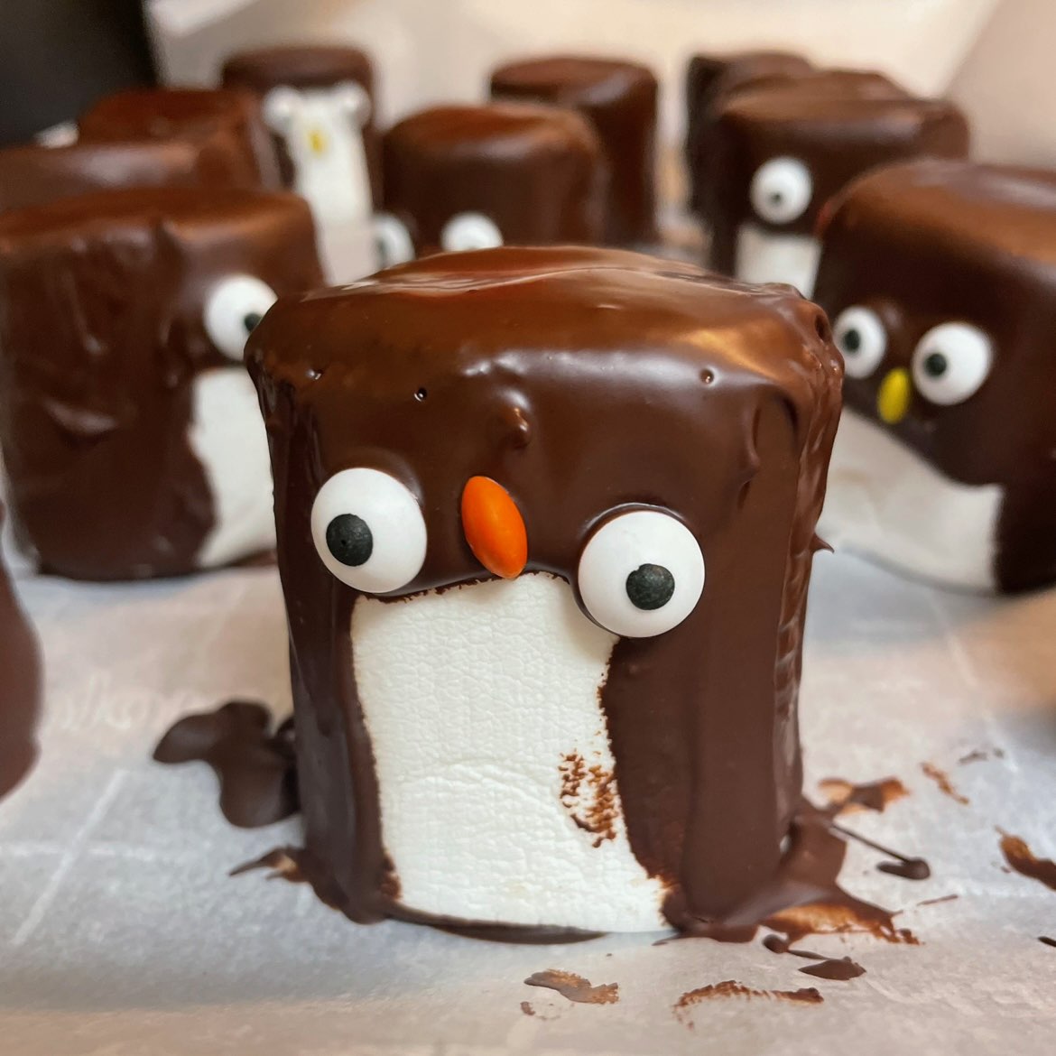 Firefli Hires Michelle Williams as Content Strategist | Firefli