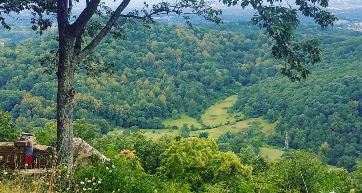 Firefli Hires Nolan Hamilton as Strategic Partnership Manager | Firefli